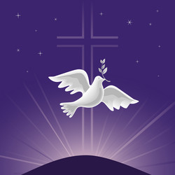 Biblical silhouette pentecost holy spirit ok Vector Image
