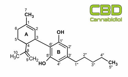 Chemical structure of cannabidiol cbd v2 Vector Image