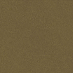 Light gray skin texture genuine or faux white Vector Image