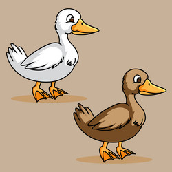 West duck Royalty Free Vector Image - VectorStock