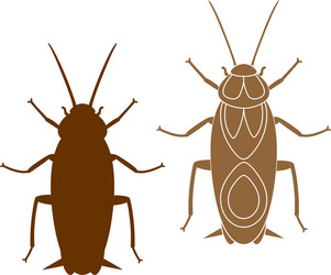 Cockroach Vector Images (over 7,800)