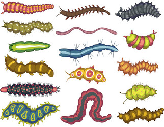 Maggot Vector Images (over 1,200)