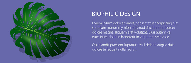 Biophilic design banner Royalty Free Vector Image