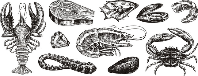 Crustacean set Royalty Free Vector Image - VectorStock