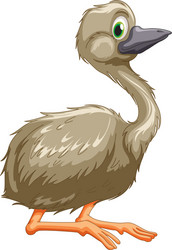 Emu cartoon Royalty Free Vector Image - VectorStock