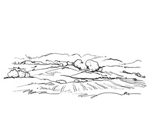 Doodles landscape with fields and trees Royalty Free Vector