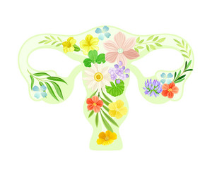 System Flower Reproductive Vector Images (over 200)