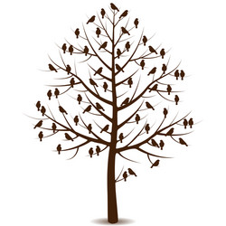 Birds on branch Royalty Free Vector Image - VectorStock