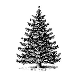 Set of hand drawn forest fir trees Royalty Free Vector Image