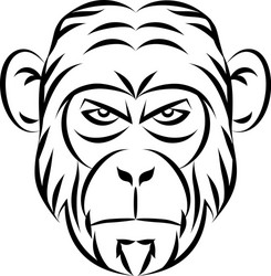 Bonobos Vector Images (over 190)