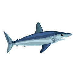 Mako Vector Images (over 100)