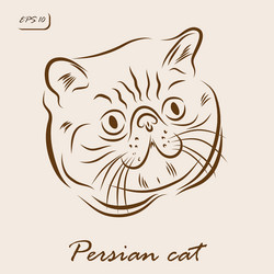 Persian Vector Images (over 40,000)