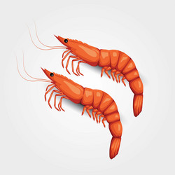 Krill Vector Images (over 280)