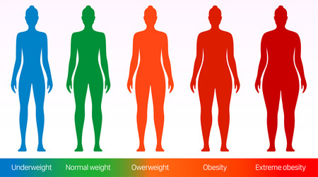 Human body mass index chart bar Royalty Free Vector Image