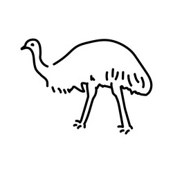 Emu Drawing Vector Images (over 610)