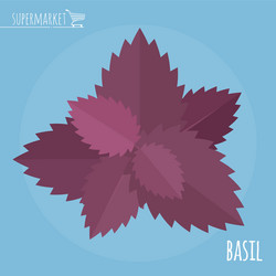 Flat basil icon Royalty Free Vector Image - VectorStock