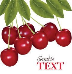 Cherries Vector Images (over 150,000)