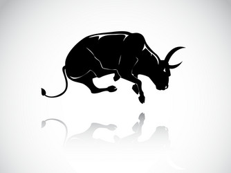 Bull Royalty Free Vector Image - VectorStock