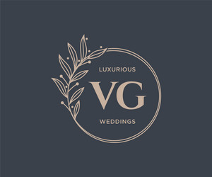 Vg initials letter wedding monogram logos Vector Image