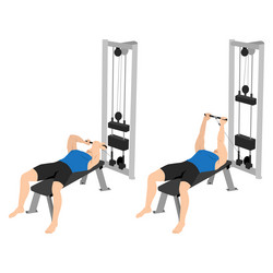 Man doing cable lying tricep extension exercise Vector Image