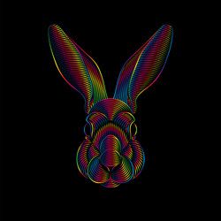 Engraving stylized psychedelic rabbit portrait Vector Image