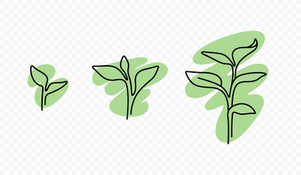 Line drawing of small tree growing design Vector Image
