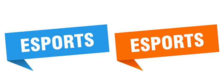 Esports sticker label Royalty Free Vector Image