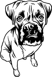 Boxer Dog Cartoon Vector Images (over 2,300)