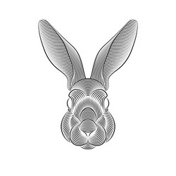 Engraving stylized psychedelic rabbit portrait Vector Image