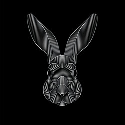 Engraving stylized psychedelic rabbit portrait Vector Image