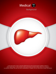 Human body liver with abstract 3d geometry lines Vector Image