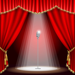 Stage Royalty Free Vector Image - VectorStock