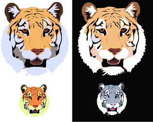 Yellow Tiger Vector Images (over 5,400)