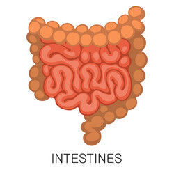 Bowel Cute Colon Vector Images (95)