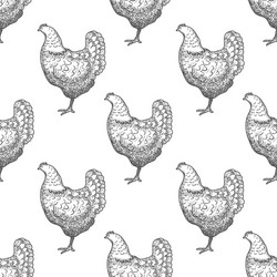 Vintage Chicken Vector Images (over 16,000)
