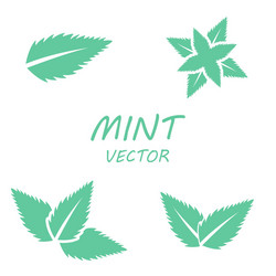 Watercolor set of mint branches isolated Vector Image
