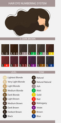 Palette with hair colour numbering system Vector Image