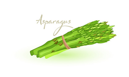Asparagus Cartoon Vector Images (over 1,600)