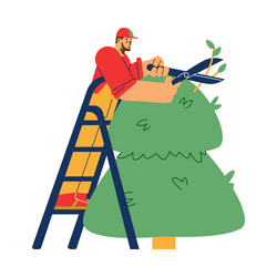 Professional tree trimming services advertising Vector Image