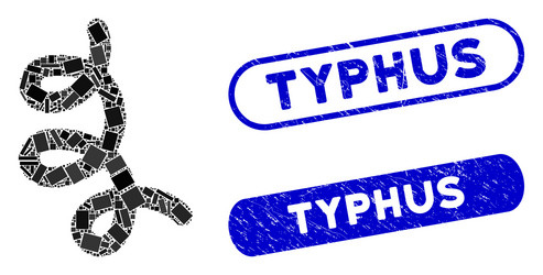 Typhus Vector Images (over 170)