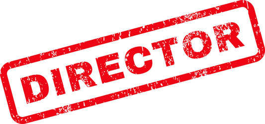 Director rubber stamp Royalty Free Vector Image