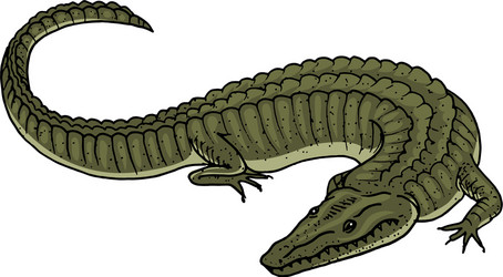 Alligator Vector Images (over 11,000)