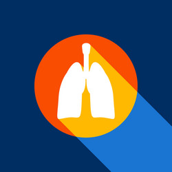 Human organs lungs sign white section of icon Vector Image