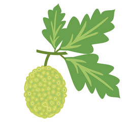 Breadfruit Leaf Vector Images (over 480)
