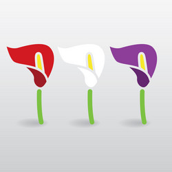 Calla Vector Images (over 2,600)