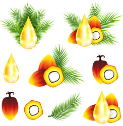 Palm Oil Vector Images (over 4,800)