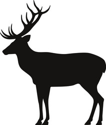 Deer Head Side Profile