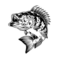 Bass fish skeleton monochrome concept Royalty Free Vector