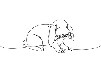 Tolai hare bunny one line art continuous line Vector Image