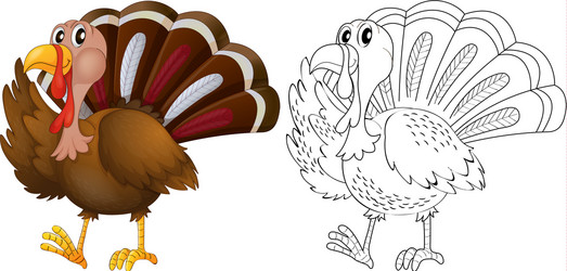 Turkey Outline Clipart
